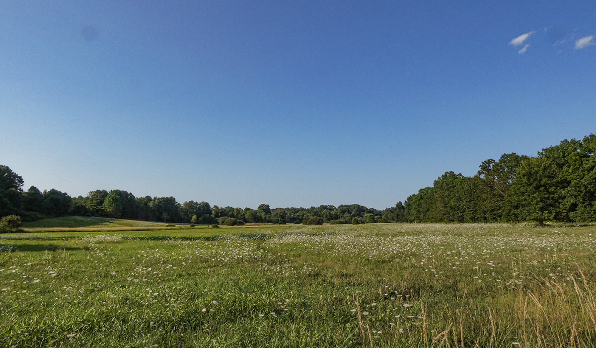 Property Benchmarks in a Topographical Survey Tulsa